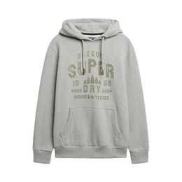 Superdry & Co Sweatshirt male Grey size S