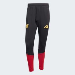 adidas Performance Sporthose 'Jamaika 26 x Bob Marley Tiro' Herren Gr&ouml;&szlig;e XXXL gelb / tanne / rot / schwarz