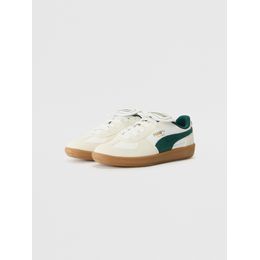 Puma Sneaker 'Palermo' Jungen Gr&ouml;&szlig;e 38 gold / smaragd / wei&szlig;