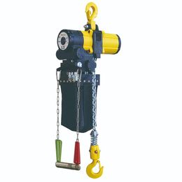 Delta Druckluft Kettenzug - 0.25 Tonnen / 3 m Hubh&ouml;he &ndash; 1 Strang