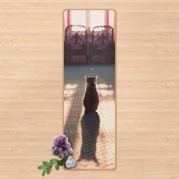 Bilderwelten Yogamatte Kork Motiv beige Tiere Sportmatte - Katze im Schein - Katze rutschfest