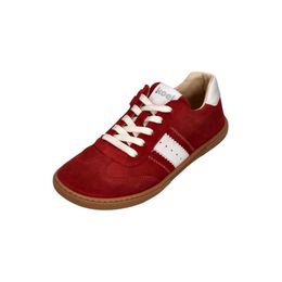 KOEL Sneaker Low DECLAN SUEDE 3.0 in rot | Gr.: 41