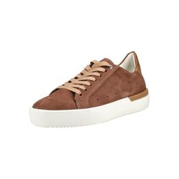 Ara Sneaker in Mocca | Gr.: 47