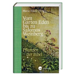 Vom Garten Eden bis zu Salomos Weinberg