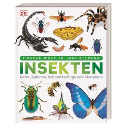Dorling Kindersley Unsere Welt in 1000 Bildern. Insekten
