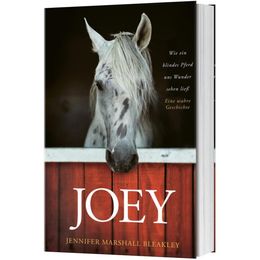 Joey - Wie ein blindes Pferd uns Wunder sehen lie&szlig;
