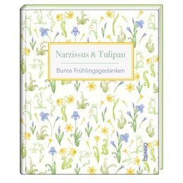 Narzissus & Tulipan