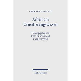 Arbeit am Orientierungswissen