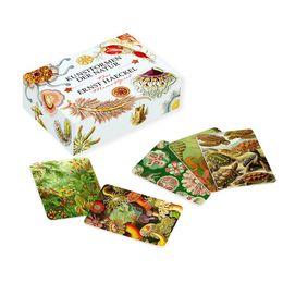 Das Ernst-Haeckel-Memo-Spiel