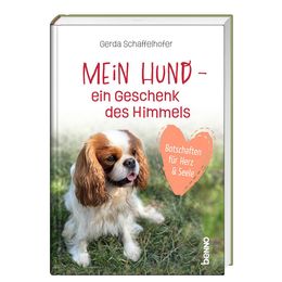 Mein Hund - ein Geschenk des Himmels