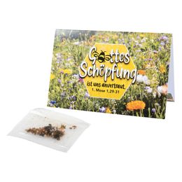 Klapp-K&auml;rtchen mit Bienenwiesen-Samenmischung