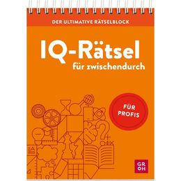 Der ultimative R&auml;tselblock - IQ-R&auml;tsel f&uuml;r zwischendurch