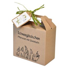 Anzuchtset &raquo;Schneegl&ouml;ckchen&laquo;