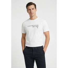 T-Shirt Calvin Klein Jeans "GRAPHIC TEE", Herren, Gr. M, hellwei&szlig;, Web, Obermaterial: 100% Baumwolle, unifarben, klassisch normal, Rundhals, eingesetzt abgesteppte Kante, Shirts T-Shirt, Regular fit mit Rundhalsausschnitt