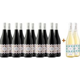Tenuta Viglione 10+2 Paket Primitivo & Fiano Trocken - Apulien &ndash; Probierpaket IGP