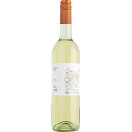 Weingenossenschaft Albig Sauvignon Blanc 2025 Feinherb - Rheinhessen &ndash; Wei&szlig;wein Qualit&auml;tswein