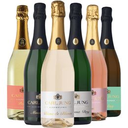 Carl Jung Sparkling-Paket entalkoholisiert - Rheingau &ndash; Probierpaket Sch&auml;umendes Getr&auml;nk aus alkoholfreiem Wein