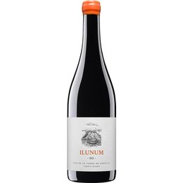 Ilunum EIO TINTO DE GUARDA 23 Monastrell Trocken - FUENTE&Aacute;LAMO ALBACETE Kastilien-La Mancha &ndash; Rotwein IGP