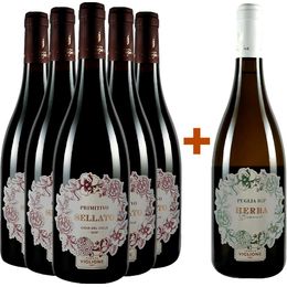Tenuta Viglione 5+1 Paket Primitivo & Verdeca Trocken - Apulien &ndash; Probierpaket Diverse