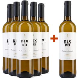 Vinos Ferr&iacute;n y Cordero Pack Descuento 5 + 1 Verdejo 2024 Trocken - Kastilien und Le&oacute;n &ndash; Probierpaket DOP