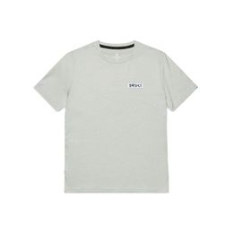 Saysky Tiger Pace T-shirt Bekleidung Herren grau