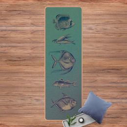 Bilderwelten Yogamatte Kork Illustration blau Strand Sportmatte - Nautik F&uuml;nf Fische - Unterwasser rutschfest