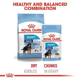 Royal Canin Maxi Puppy 4kg + Maxi Puppy in So&szlig;e 10x140g
