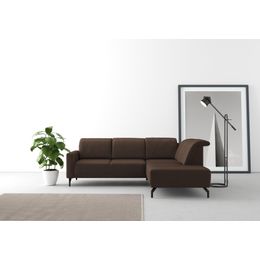 Sit & More Ecksofa SIT & MORE, B:249cm H:84cm T:205cm, braun, Wohnzimmer, Sofas, "Bailando L-Form", wahlweise mit Kopfteilverstellung und Vorziehsitz, motorisch