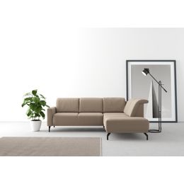 Sit & More Ecksofa SIT & MORE, B:249cm H:84cm T:205cm, grau, Wohnzimmer, Sofas, "Bailando L-Form", wahlweise mit Kopfteilverstellung und Vorziehsitz, motorisch
