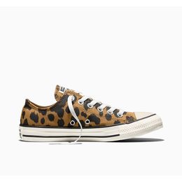 Converse Damen Sneaker "CHUCK TAYLOR ALL STAR COW PRINT", Gr. 38honey stick, schwarz, egret, Textil, Schuhe