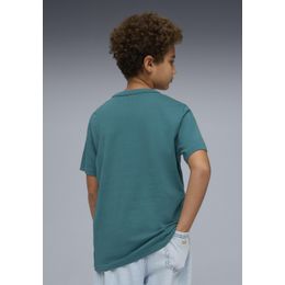 Puma Jungen T-Shirt "CLASS GRAPHIC TEE B"emerald ice, Gr. 164, bedruckt, Jersey, Obermaterial: 100% Baumwolle, Shirts, Regular Fit, Kurzarm,