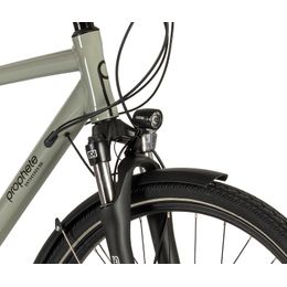 Prophete Trekkingrad "Prophete Entdecker 500", 48cm, 28 Zoll (71,12cm) hinten: 28 Zoll (71,12cm)silberfarben, Fahrr&auml;der