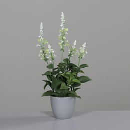 DPI Kunstblume Salbei