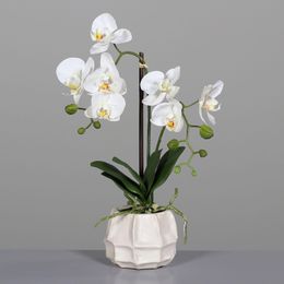DPI Kunstblume Orchidee