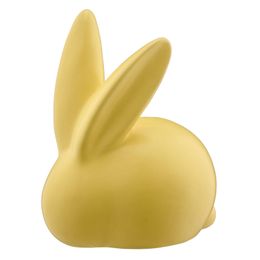 Gasper Hase PAULA