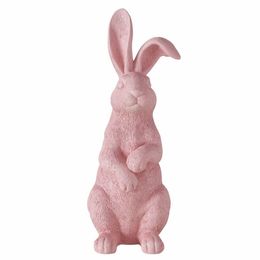 SONSTIGE Hase BENGT