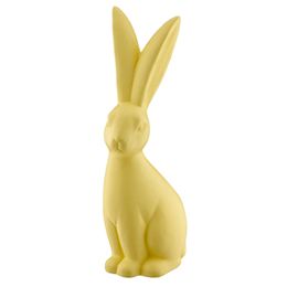 Gasper Hase GLAMOUR CHLOE