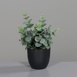 DPI Kunstpflanze EUCALYPTHUS