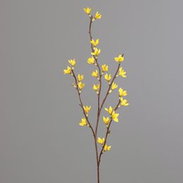 DPI Kunstblume FORSYTHIE