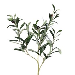 DPI Olivenzweig gr&uuml;n