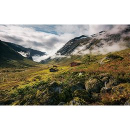 Vliestapete Komar "Digitaldruck Vlies - Pure Norway - Gr&ouml;&szlig;e 450 x 280 cm", bunt, B:450m L:280m, Vlies, Tapeten, Wohnzimmer, Schlafzimmer
