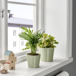 IKEA BROKSPIREA &Uuml;bertopf