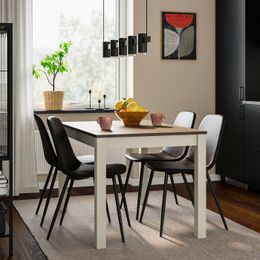 IKEA &Aring;LHULT / NORDMANSSK&Auml;R Tisch und 4 St&uuml;hle