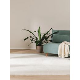 benuta Basic - Kunstfell-Teppich Furry Cream 60x120 cm