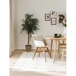 benuta Pop Baumwollteppich Isla Cream 120x170 cm - Moderner Kurzflor-Teppich f&uuml;r Wohnzimmer