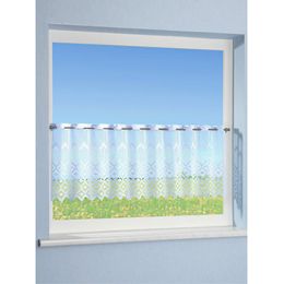 WITT WEIDEN Fensterbehang in wei&szlig; | Gr.: 30-cm