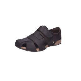 Panama Jack Klettschuhe Fletcher Basic in morron | Gr.: 40