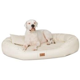 tierlando Orthop&auml;disches Hundebett LENNART VISCO PLUS Kunstleder creme 1,4 m, 30 cm, 1,05 m