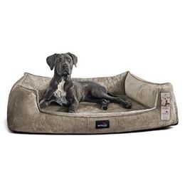 tierlando &reg; Orthop&auml;disches Hundebett FRANKLIN Kuscheliger Teddy-Stoff - Hundesofa