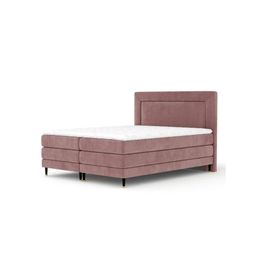 maison de r&ecirc;ve Boxspringbett Madame rosa/pink Ma&szlig;e (cm): B: 142 H: 123 &raquo; M&ouml;bel Kraft